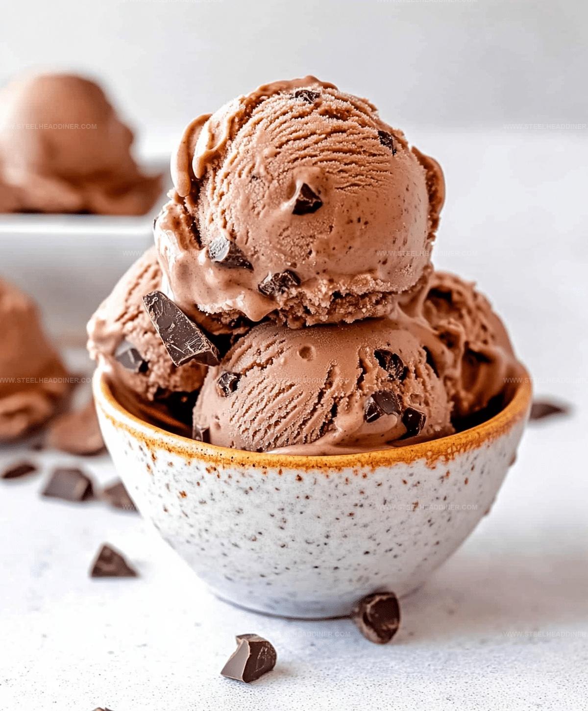 Easy Double Chocolate Ice Cream Recipe for Dreamy Desserts - Steelhead ...