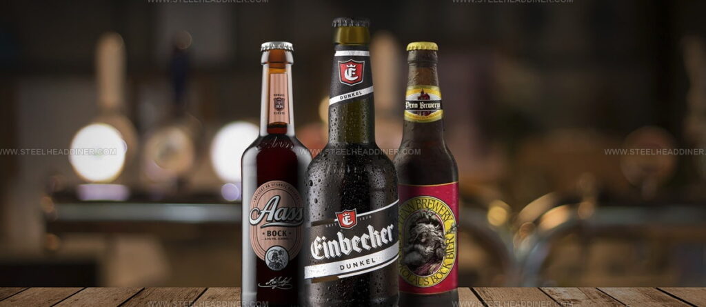 48 Authentic German Beers Every Beer Lover Should Know - Steelhead Diner