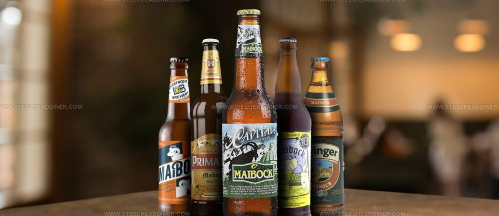 48 Authentic German Beers Every Beer Lover Should Know - Steelhead Diner